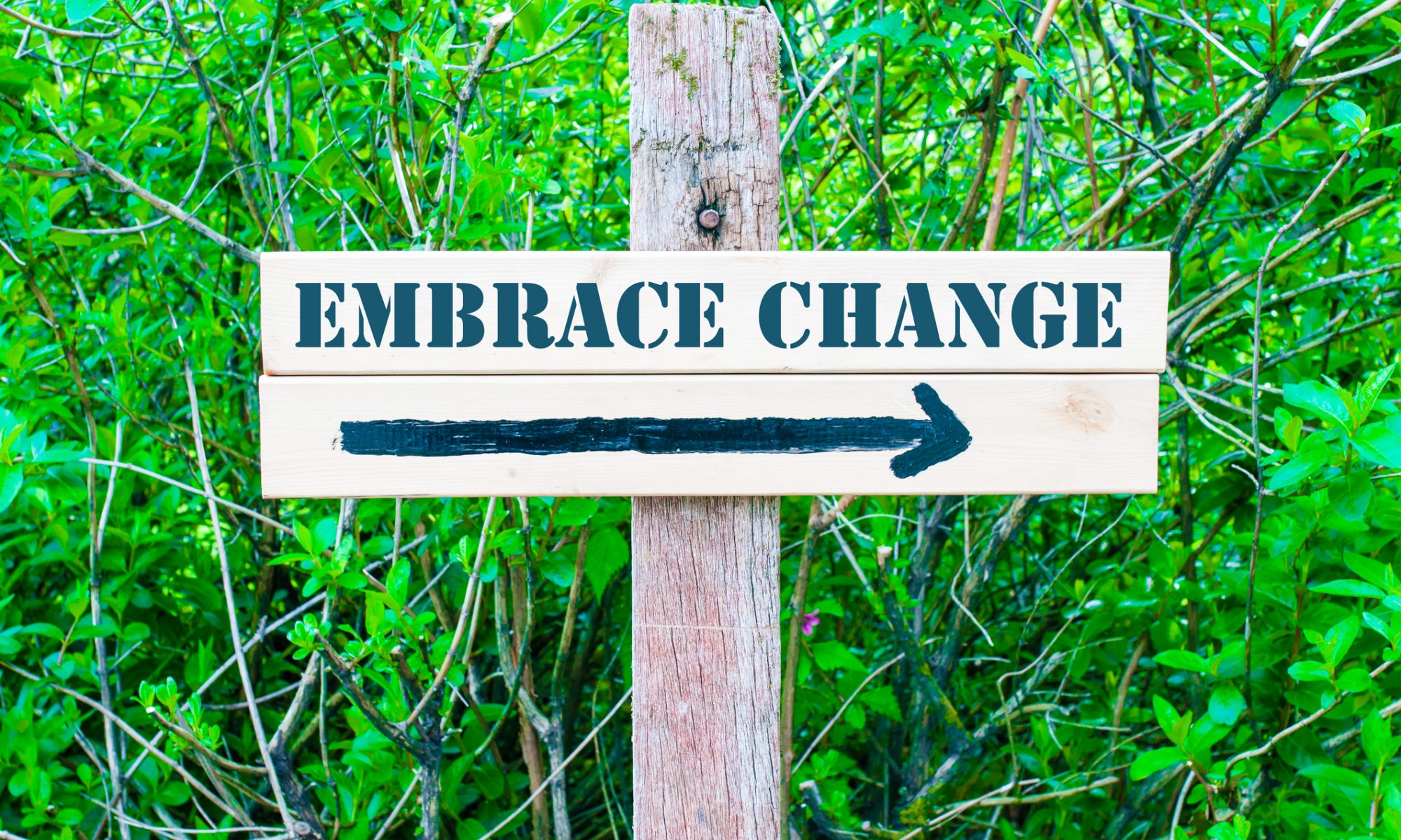 Blog 119 OUTSTANDING TEACHERS EMBRACE CHANGE Ram Materials blog-119-outstanding-teachers-embrace-change-ram-materials