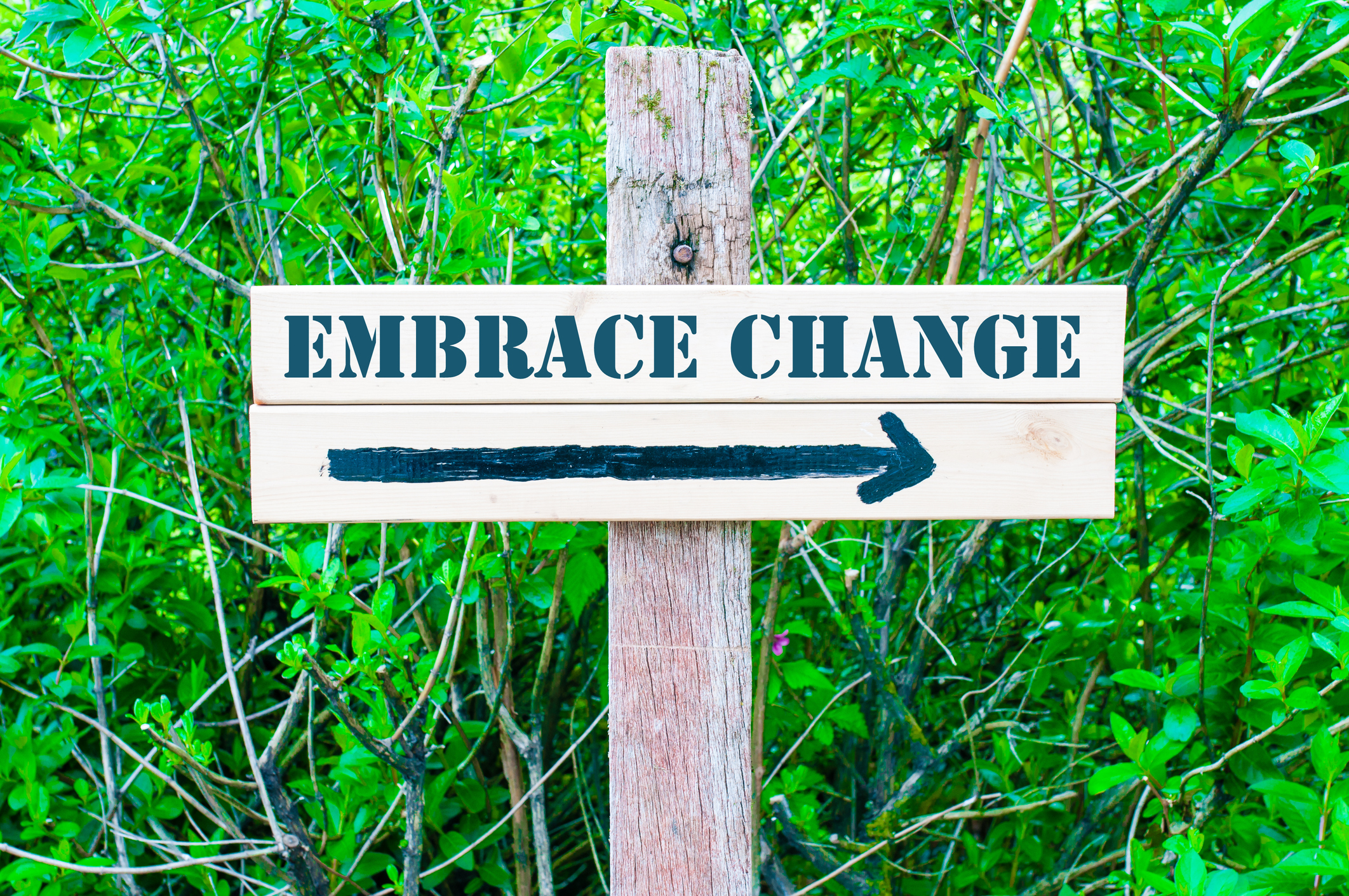 EMBRACE CHANGE Directional sign | Ram Materials